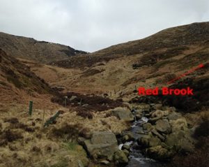 Red Brook Scramble near Kinder Downfall | Peak District